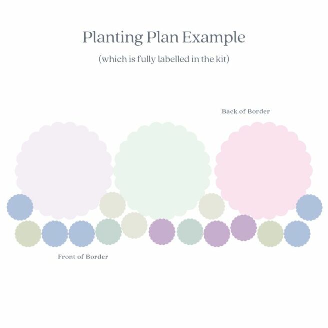Shady Garden Design planting plan by Border in a Box