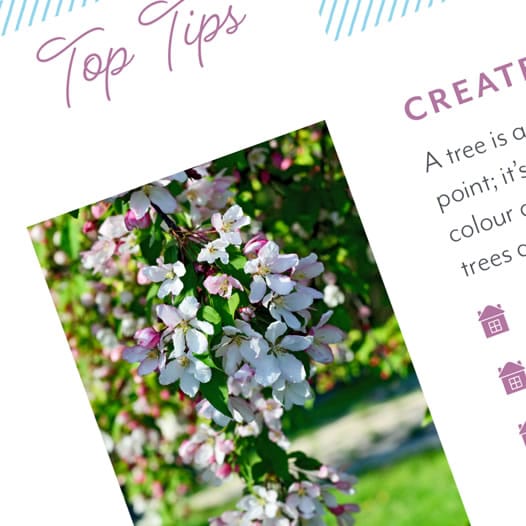 Home - Border In A Box - Your Garden Border in a Box