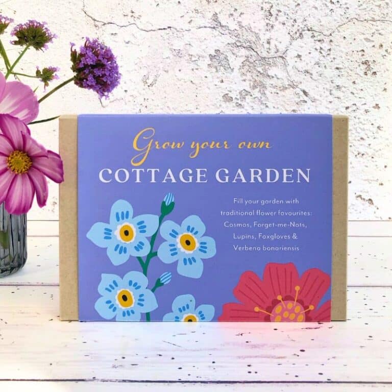 Ready-made Sunny garden design kit by Border in a Box