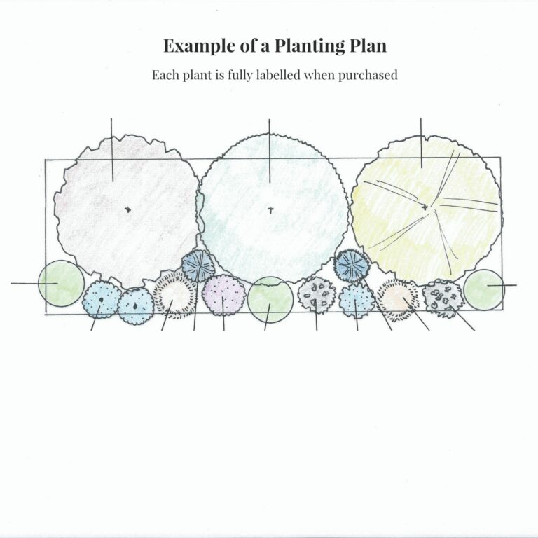 Ready-made Evergreen garden border design kit