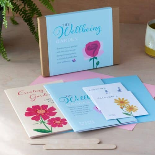 How to create a garden for wellbeing from scratch - Border in a Box