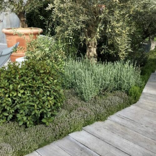 How to create a garden for wellbeing from scratch - Border in a Box