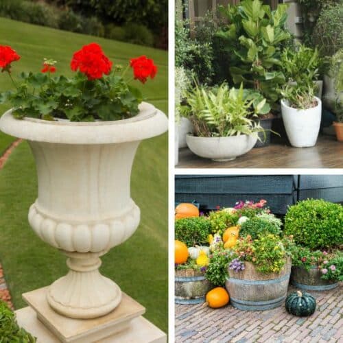 How to choose the right pot for your garden - Border In A Box - Your ...