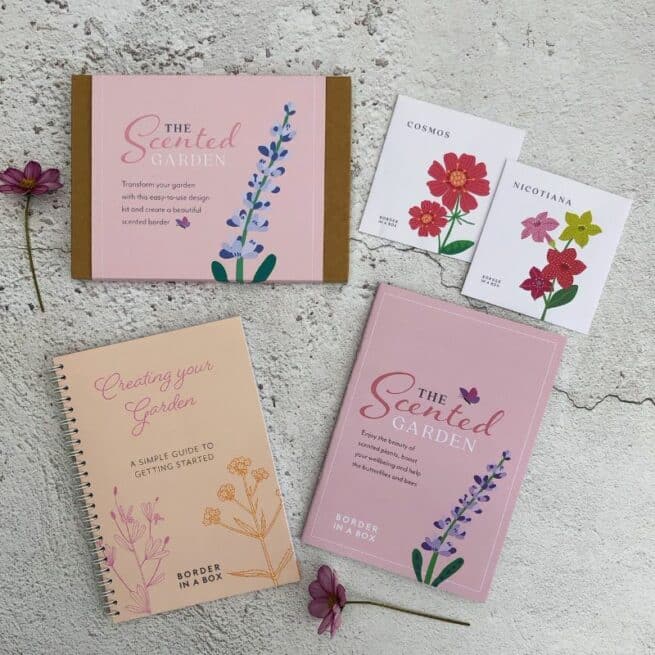 Scented garden border design kit by Border in a Box