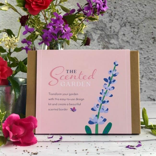 Border In A Box - Border In A Box - Your Garden Border in a Box