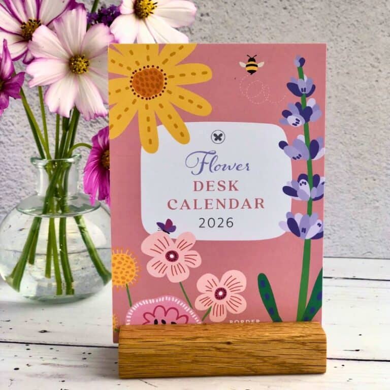 Desk Calendar 2026 flower design, Notepad & Gift Box, A6 size - Border ...